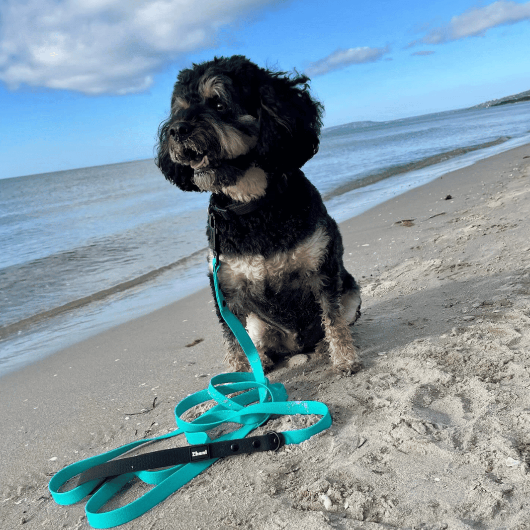 Zhani Dog Leads - Washable, Waterproof, Lightweight and Durable